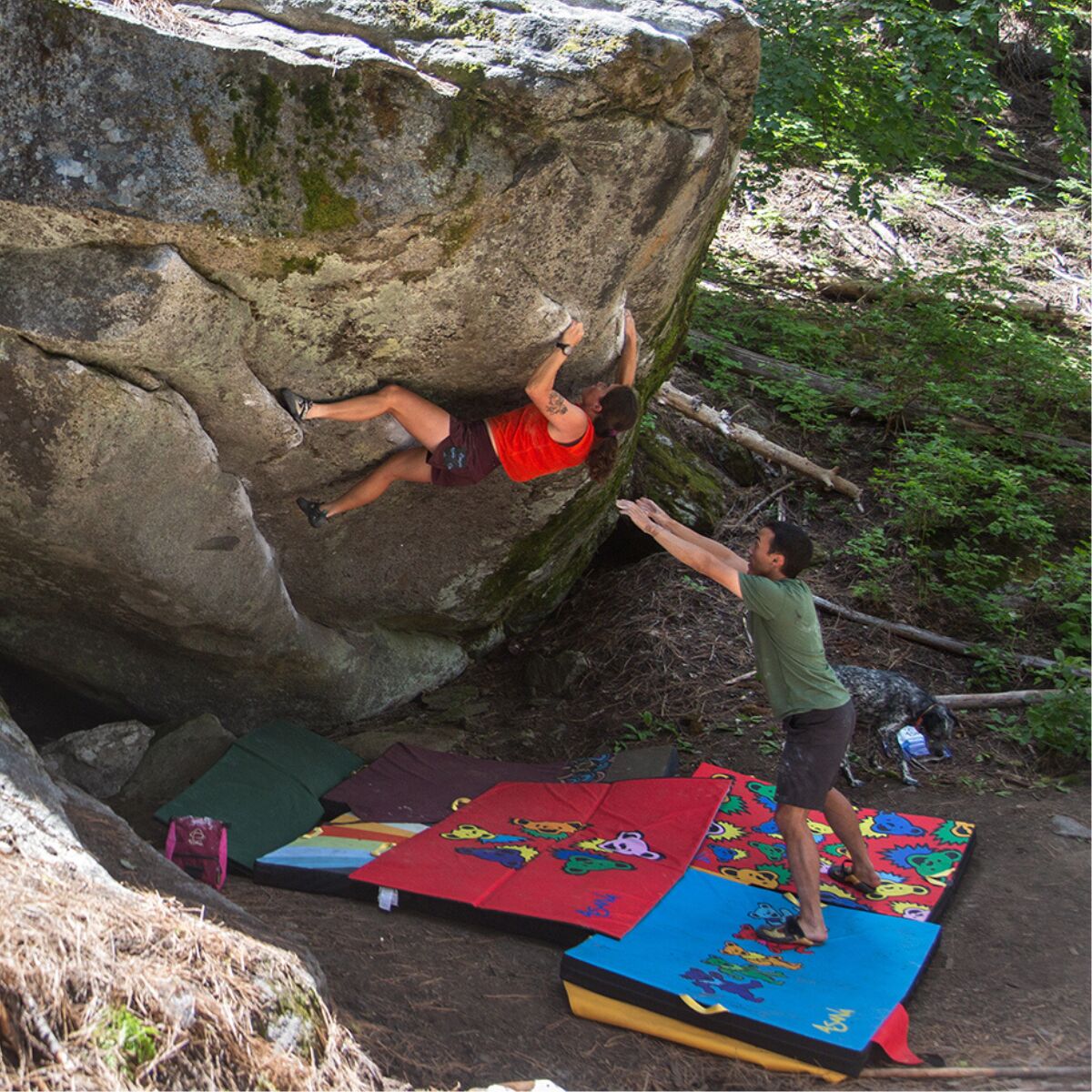 Asana Versapad Crash Pad International Shipping