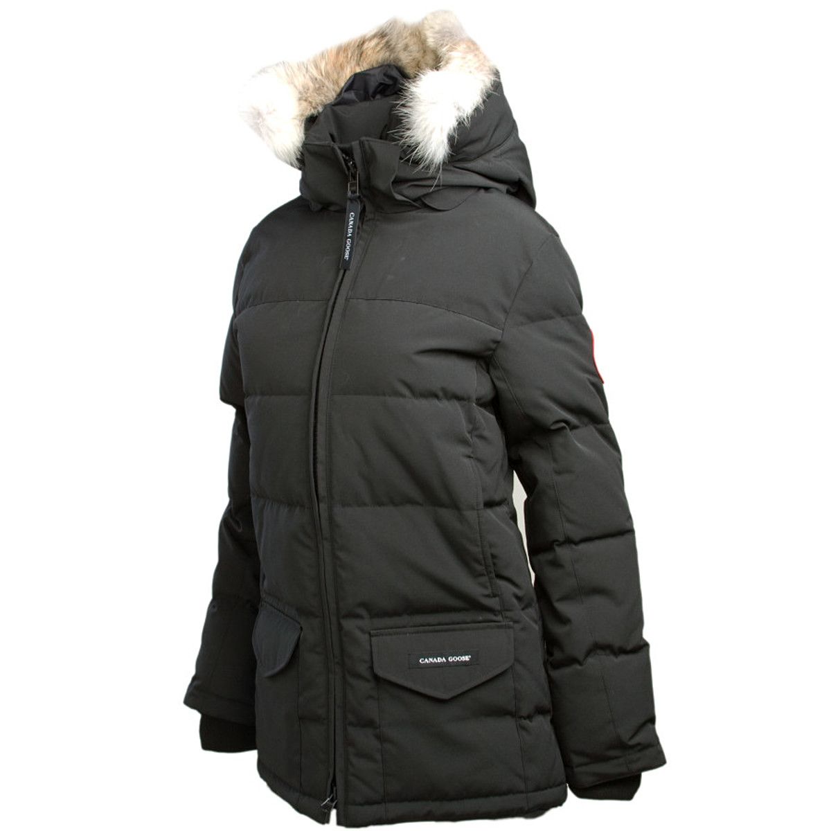 Women's Extreme Cold Parka at Sandra Madrigal blog
