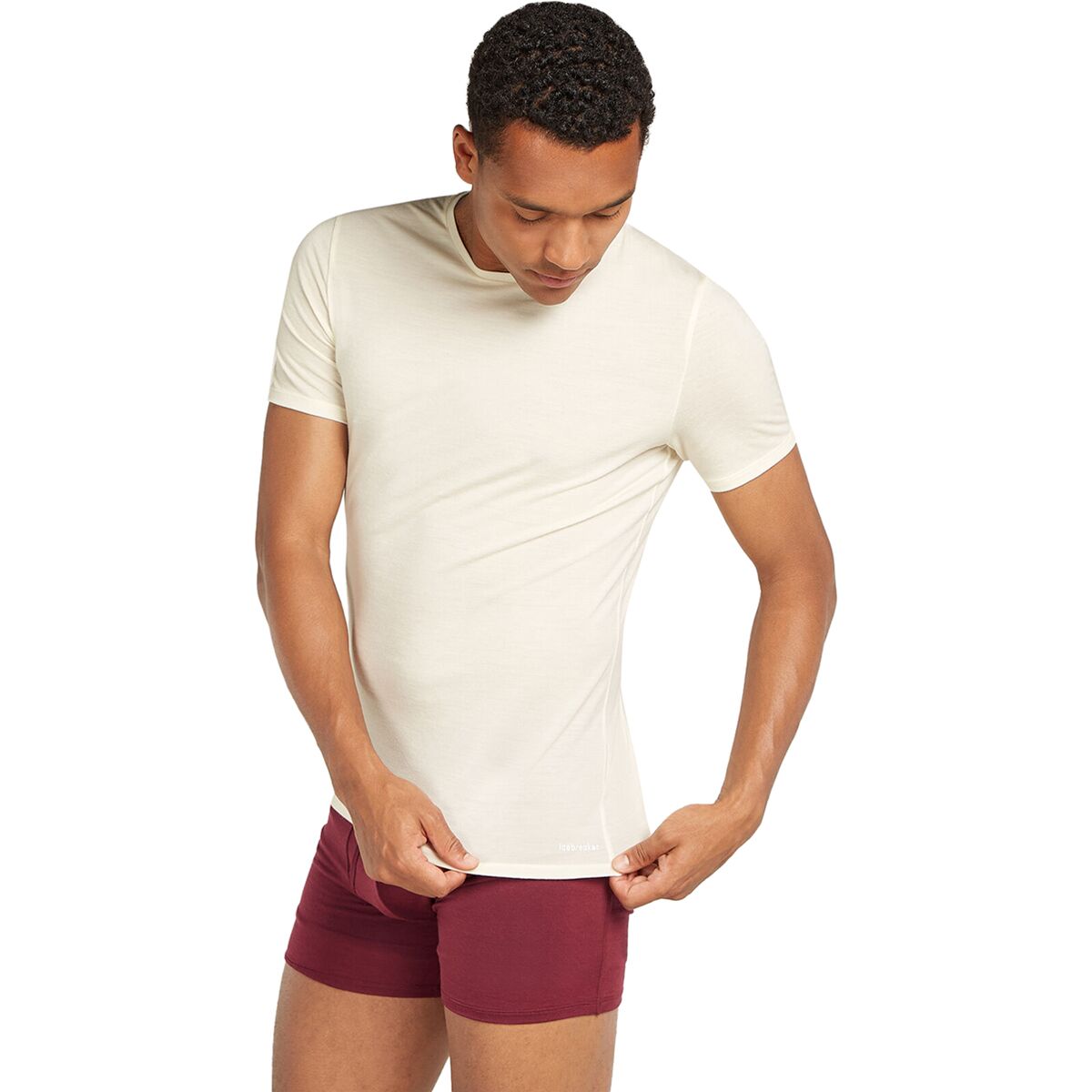 Icebreaker Anatomica Boxer + Fly - Men's International Shipping