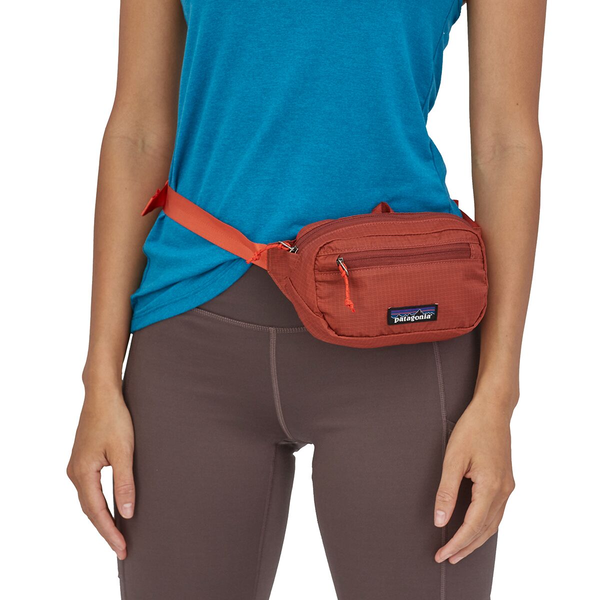 Patagonia Ultralight Black Hole® Mini Hip Pack 1L – Threadfellows ...